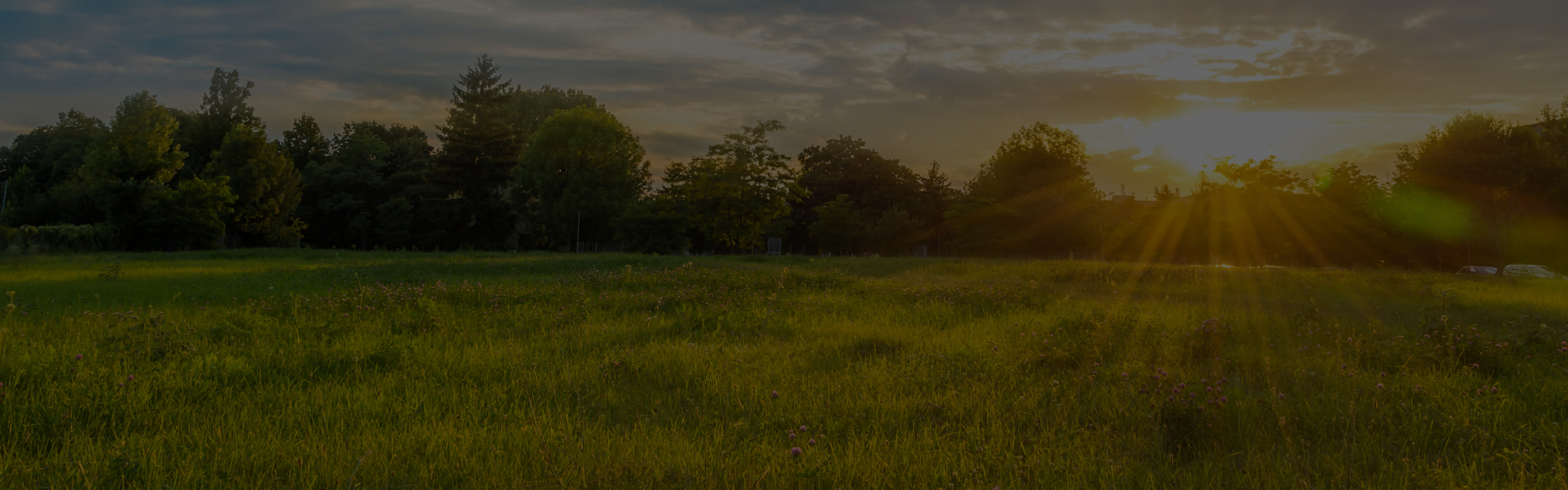 Zoetis Programs | Home